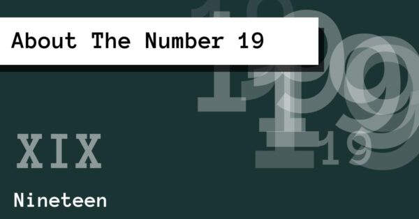 About The Number 19