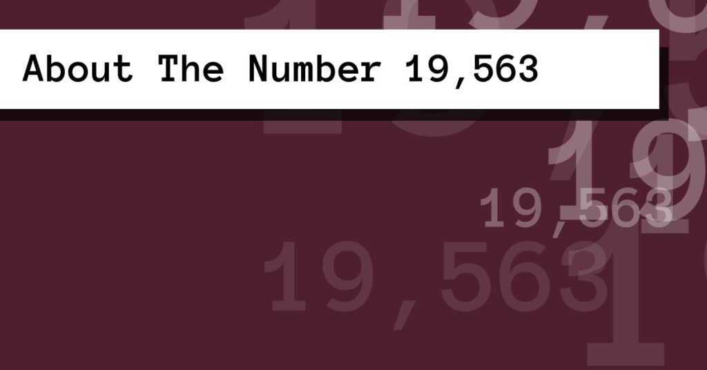 About The Number 19,563