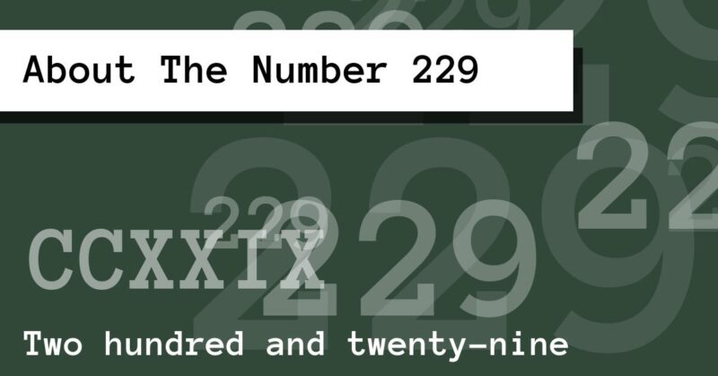 About The Number 229