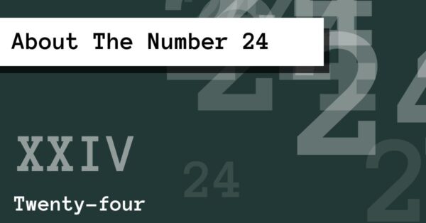 About The Number 24