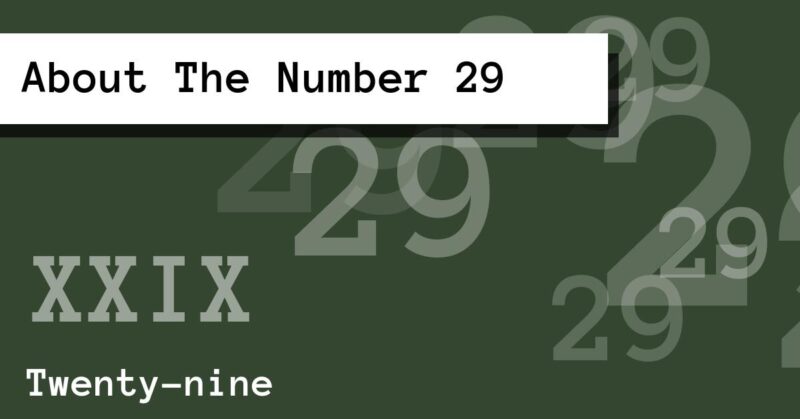 About The Number 29