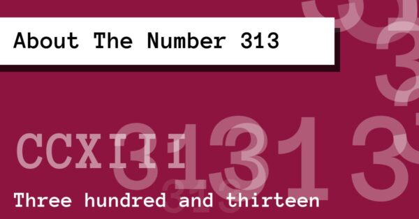 About The Number 313